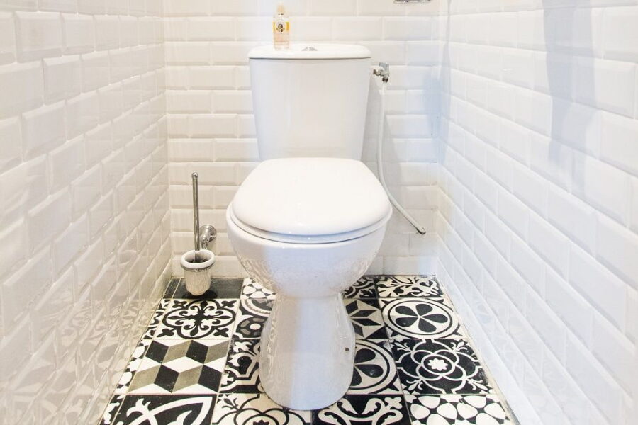 Choosing Materials for Toilet Finishes