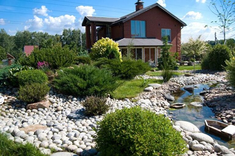 Evergreen Trees for Landscape Design