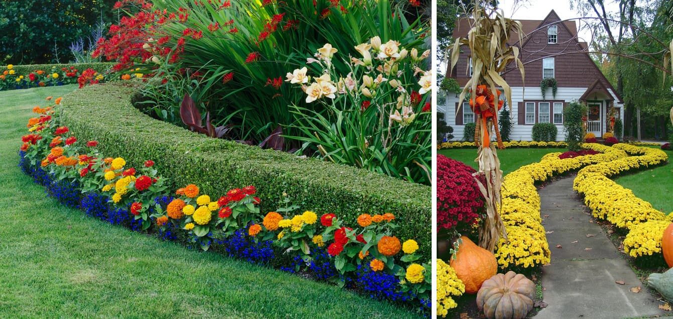 Beautiful and Creative DIY Flower Beds