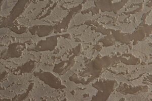 Decorative Plaster: Types, Composition & Techniques