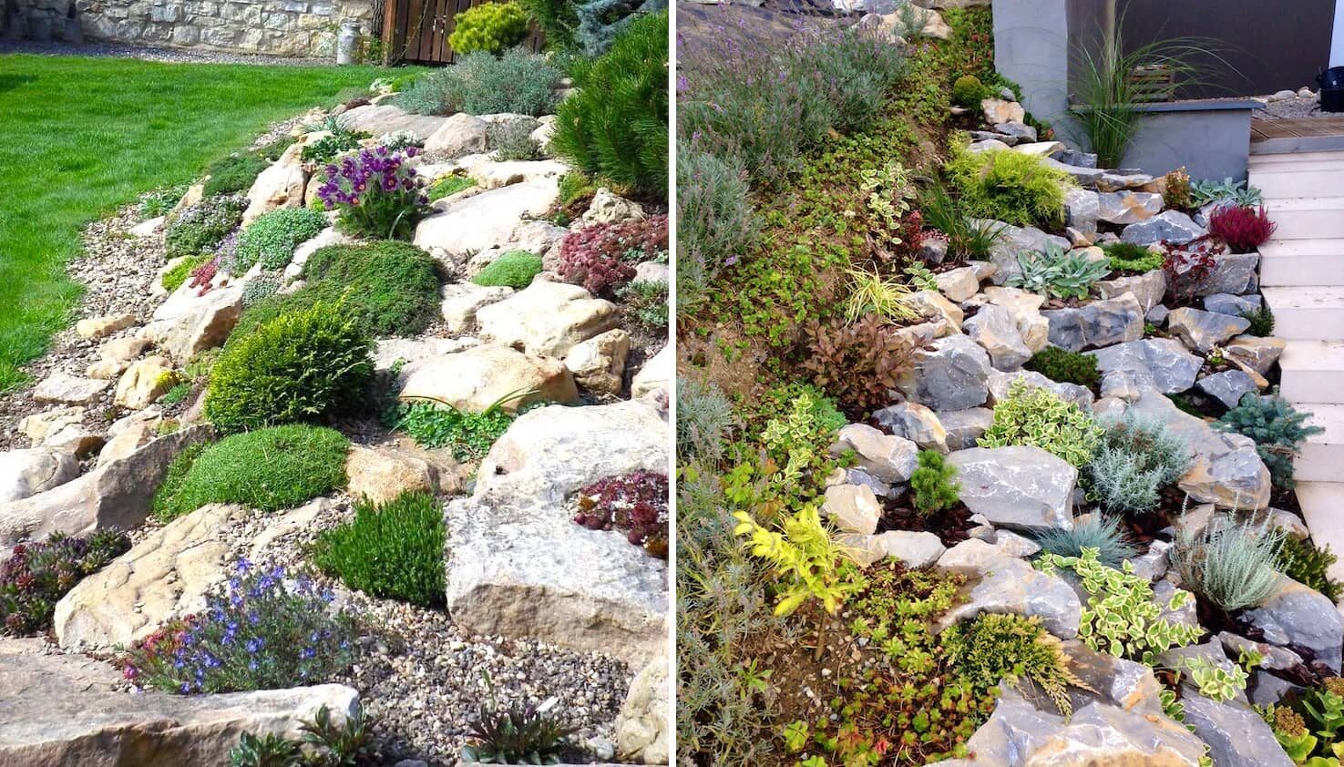 DIY Alpine Rock Garden: Create a Charming Corner in Your Yard